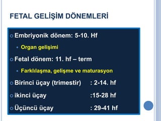 Gebelik dönemleri ve prenatal değerlendirme | PPTX