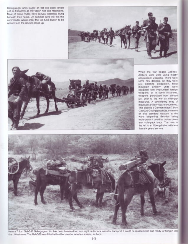 Gebirgsjaeger German Mountain infantry | PDF