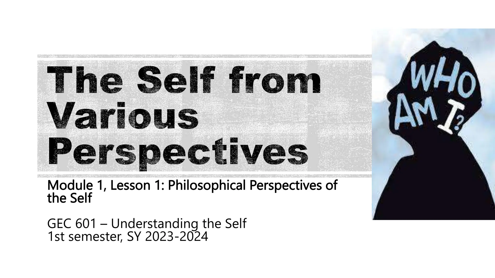 the self from various perspective the self from various perspective the ...