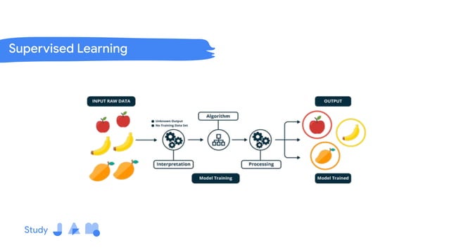 GECBSP Guide GDSC India ML Study Jam organizer guide modified.pdf