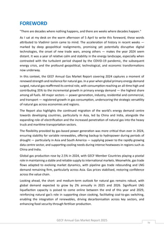 GECF Annual Gas Market Report 2025 Full Version | PDF
