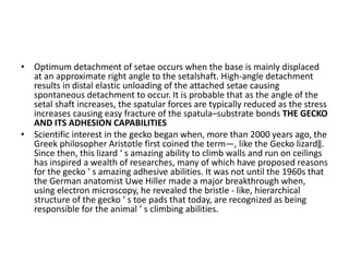 Gecko inspired nanomaterials | PPTX