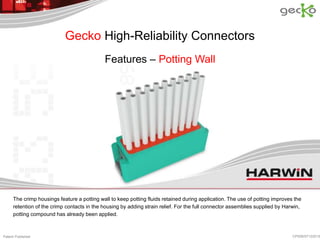 Gecko overview PTM | PPTX