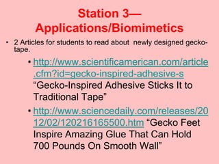 Gecko stations lesson ppt | PPTX