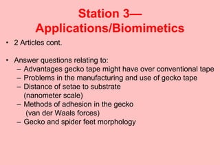 Gecko stations lesson ppt | PPTX