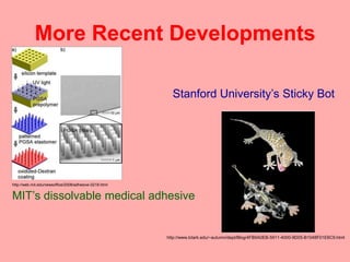 Gecko stations lesson ppt | PPTX