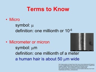 Gecko stations lesson ppt | PPTX