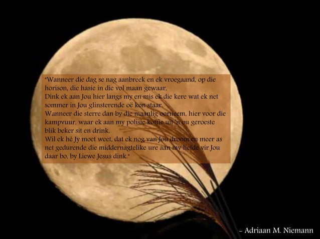 Gedigte by AM Niemann | PPT