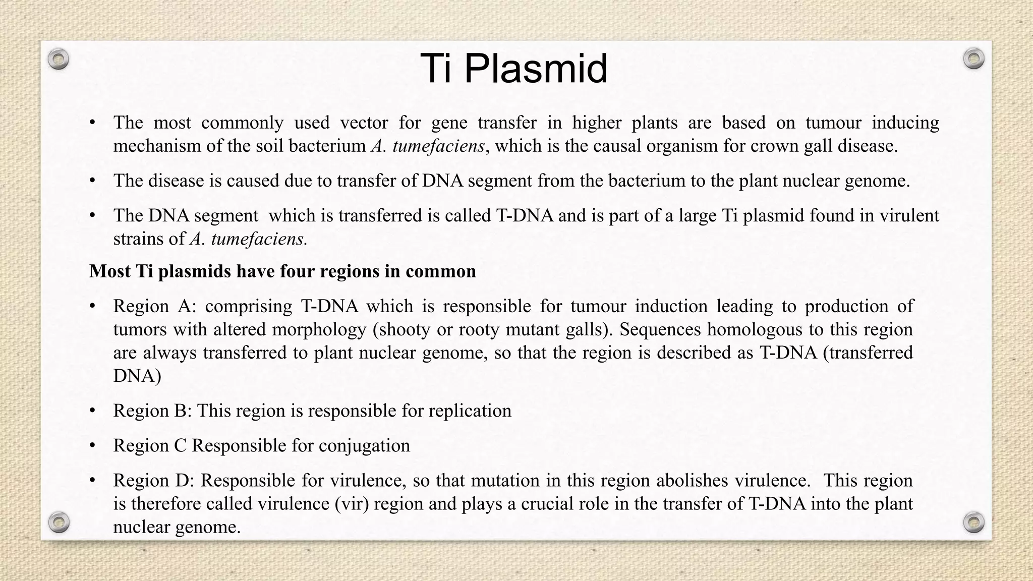 DESIGN OF PLASMID VECTOR & PROKARYOTIC AND EUKARYOTIC VECTORS | PPT