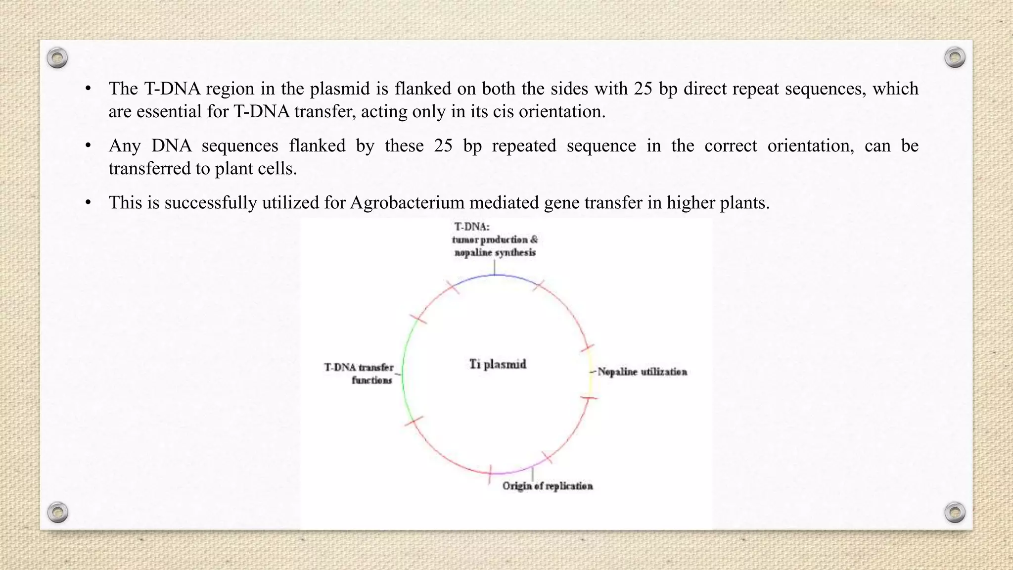 DESIGN OF PLASMID VECTOR & PROKARYOTIC AND EUKARYOTIC VECTORS | PPT