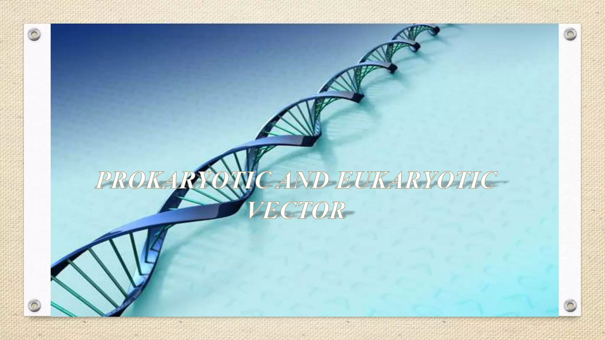 DESIGN OF PLASMID VECTOR & PROKARYOTIC AND EUKARYOTIC VECTORS | PPT