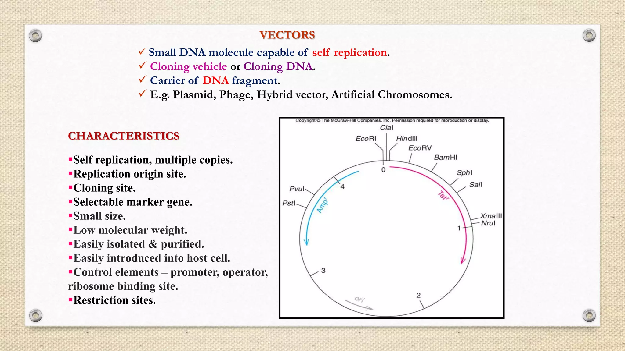 DESIGN OF PLASMID VECTOR & PROKARYOTIC AND EUKARYOTIC VECTORS | PPT