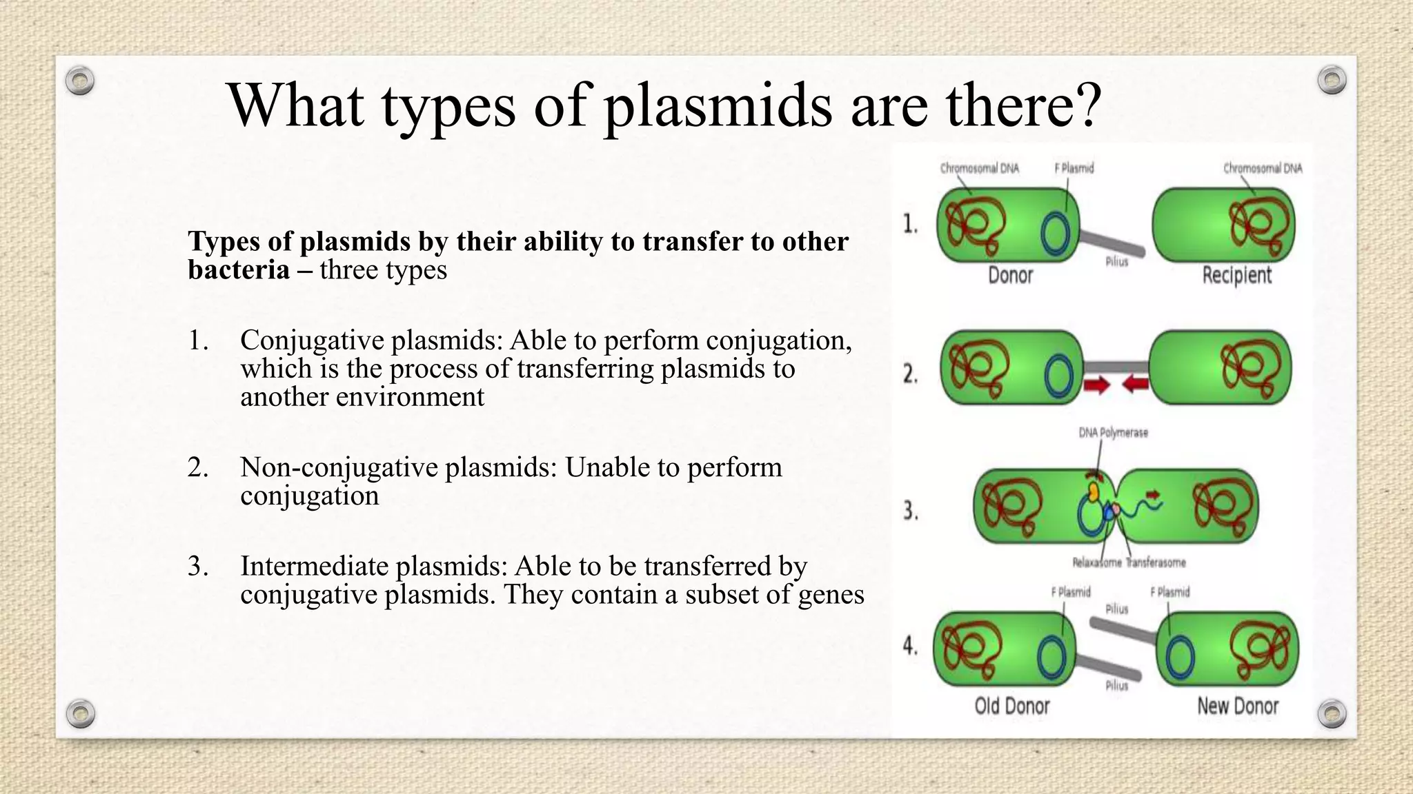 DESIGN OF PLASMID VECTOR & PROKARYOTIC AND EUKARYOTIC VECTORS | PPT