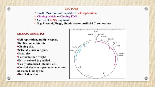DESIGN OF PLASMID VECTOR & PROKARYOTIC AND EUKARYOTIC VECTORS | PPT