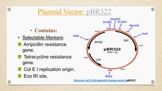 DESIGN OF PLASMID VECTOR & PROKARYOTIC AND EUKARYOTIC VECTORS | PPTX