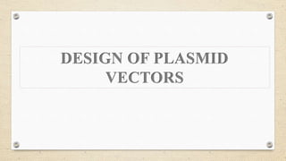 Designed Plasmid Vector