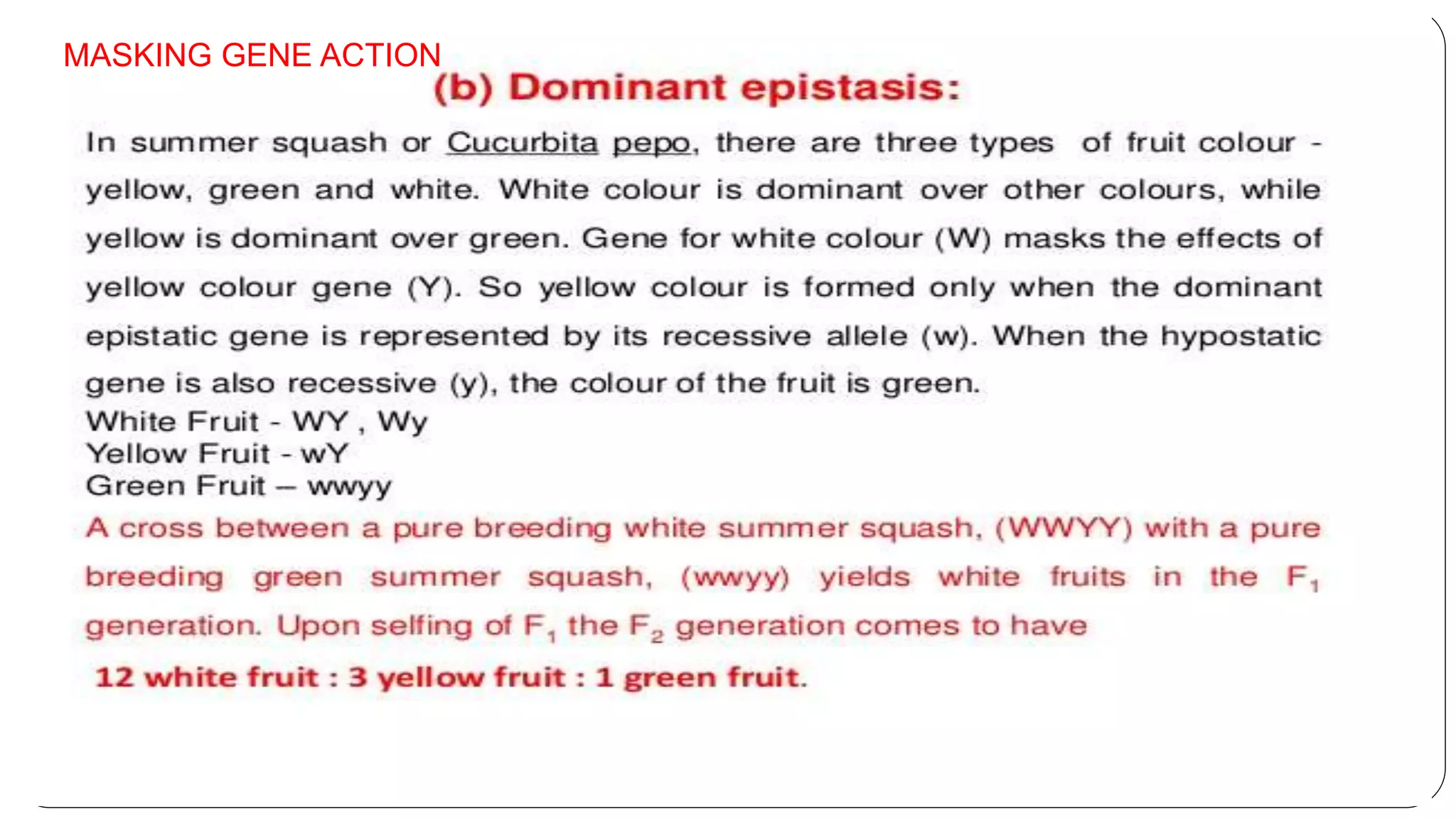 Gene interaction | PPTX