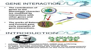 Gene interaction | PPTX