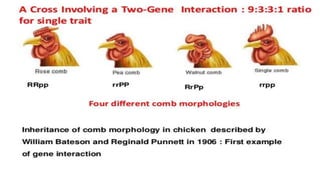 Gene interaction | PPTX