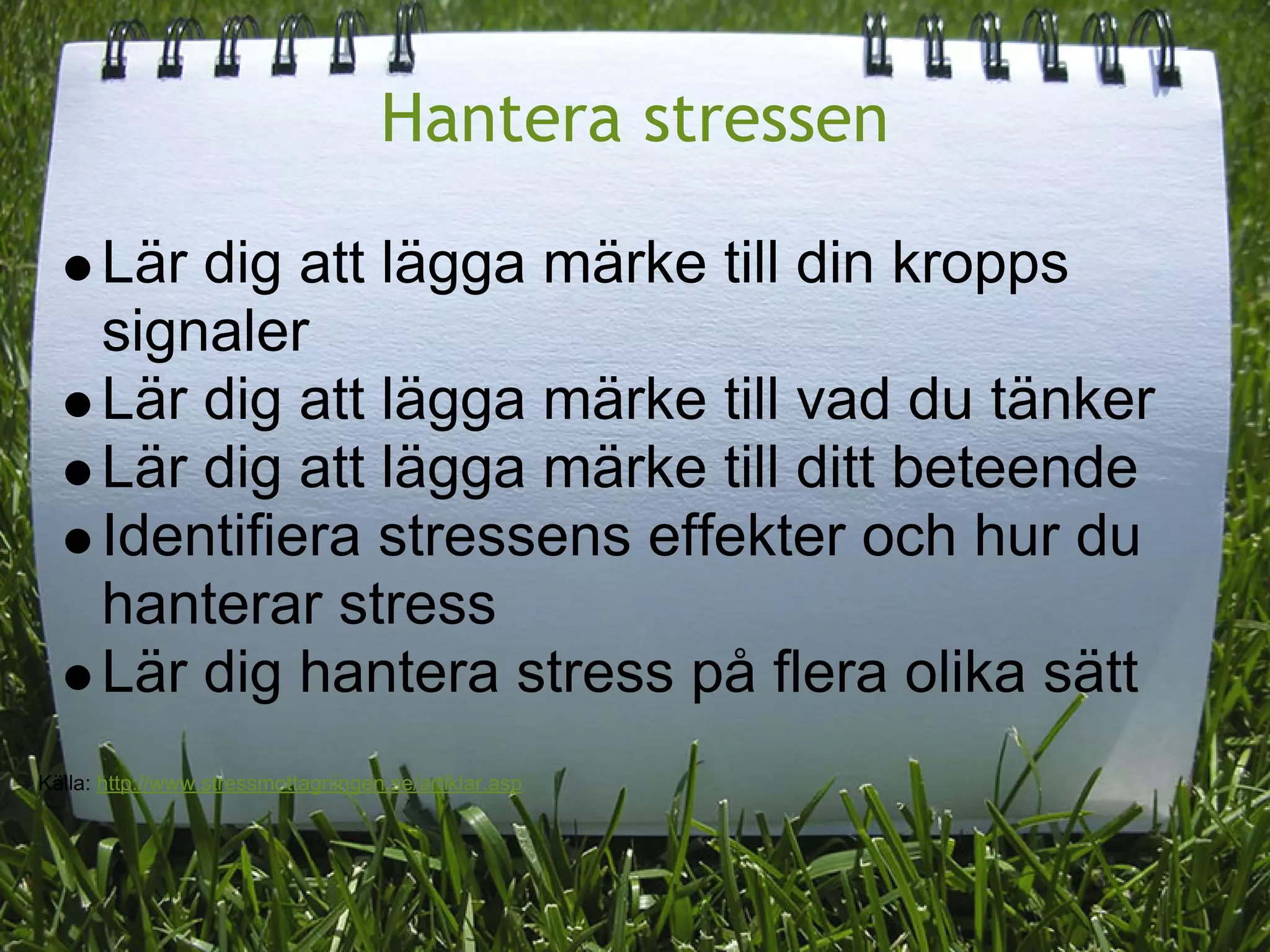 Geek girl workaholic presentation in Swedish | PPT