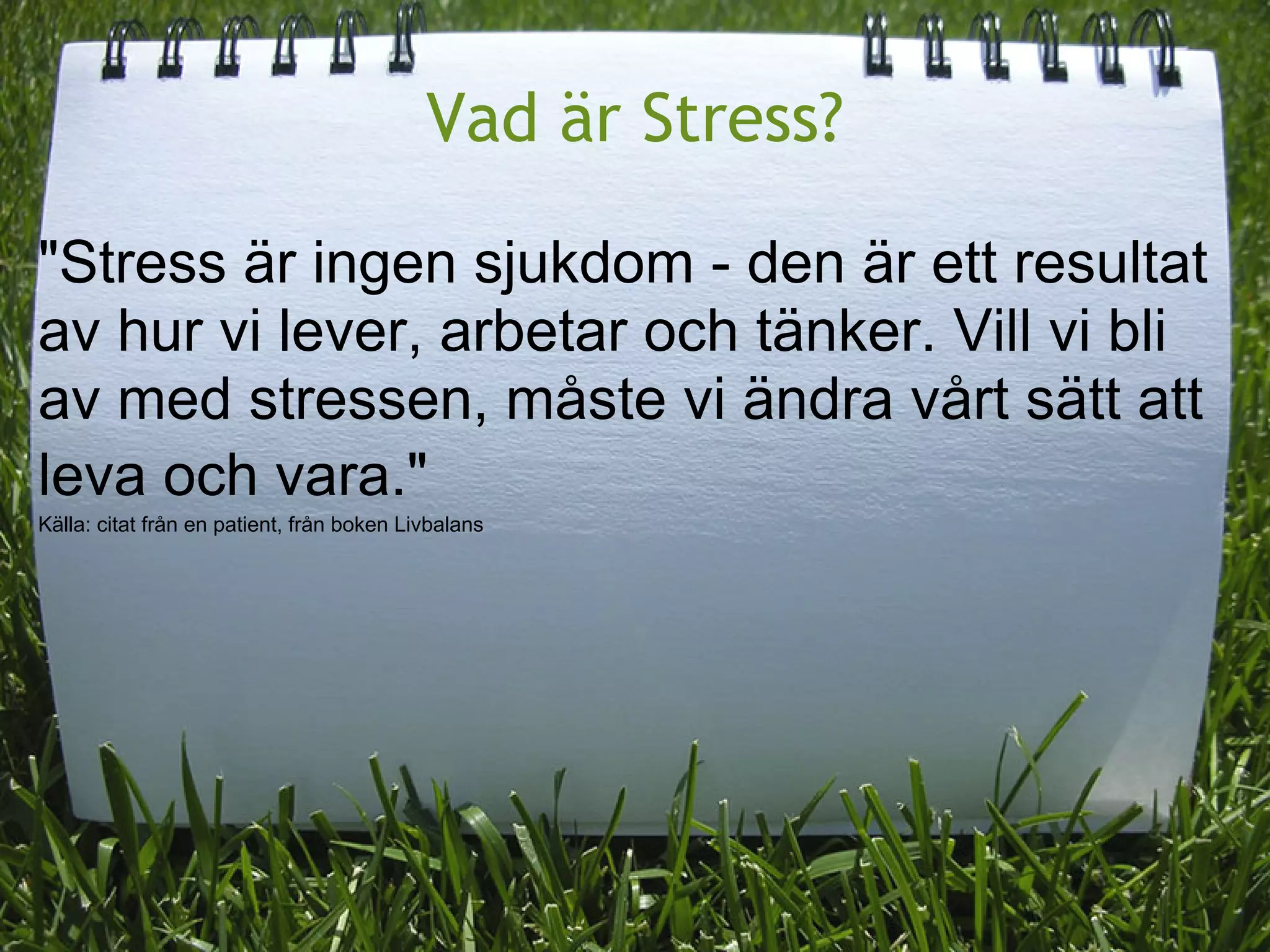 Geek girl workaholic presentation in Swedish | PDF