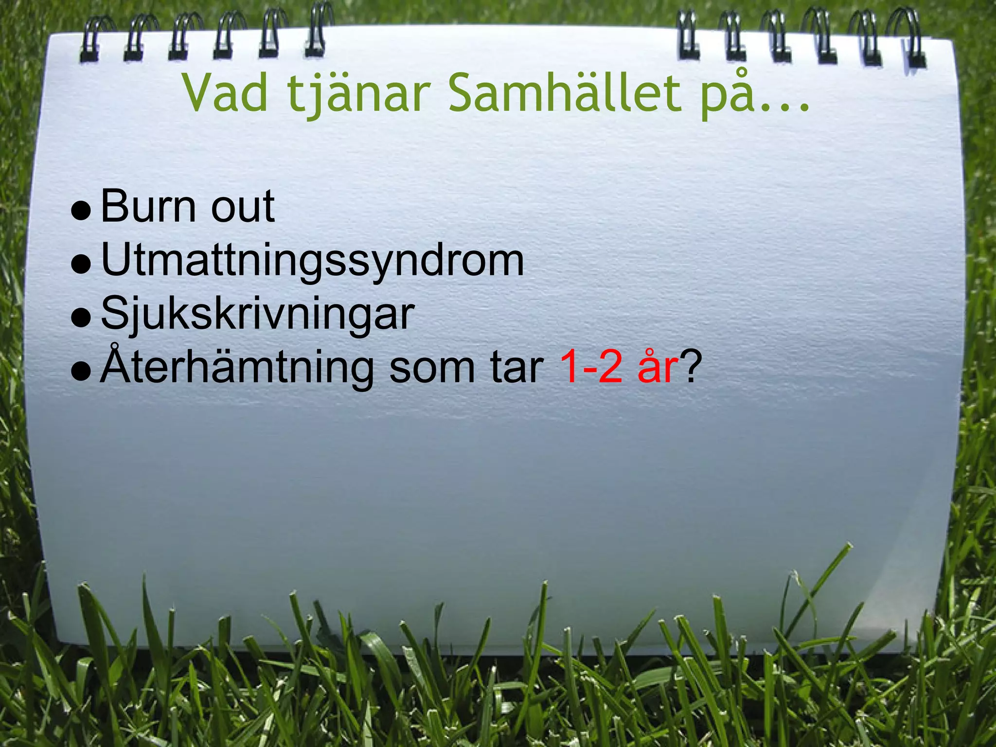 Geek girl workaholic presentation in Swedish | PDF