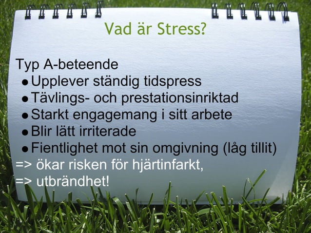 Geek girl workaholic presentation in Swedish | PPT