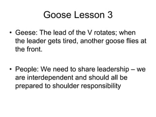 Geese | PDF