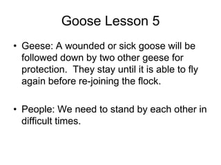 Geese | PDF