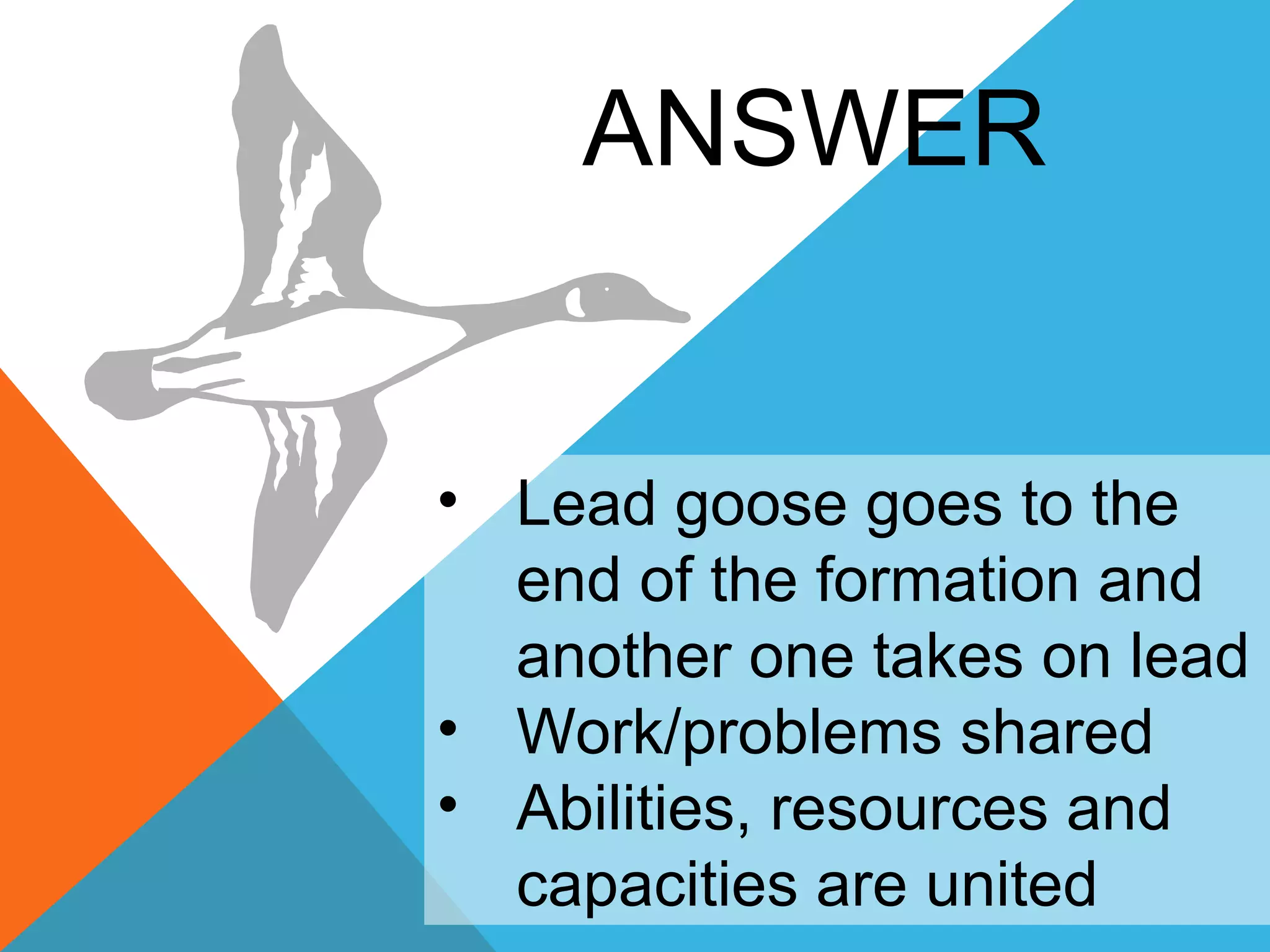 Geese - Teaching Life Lessons | PPT