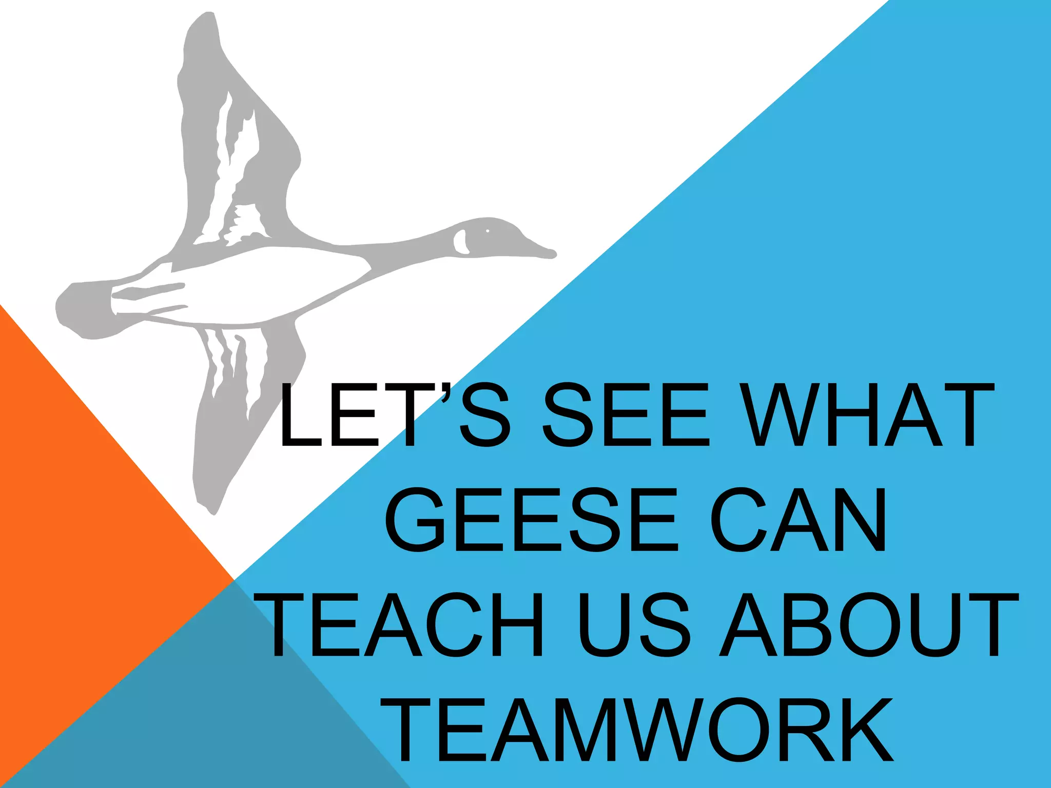 Geese - Teaching Life Lessons | PPT