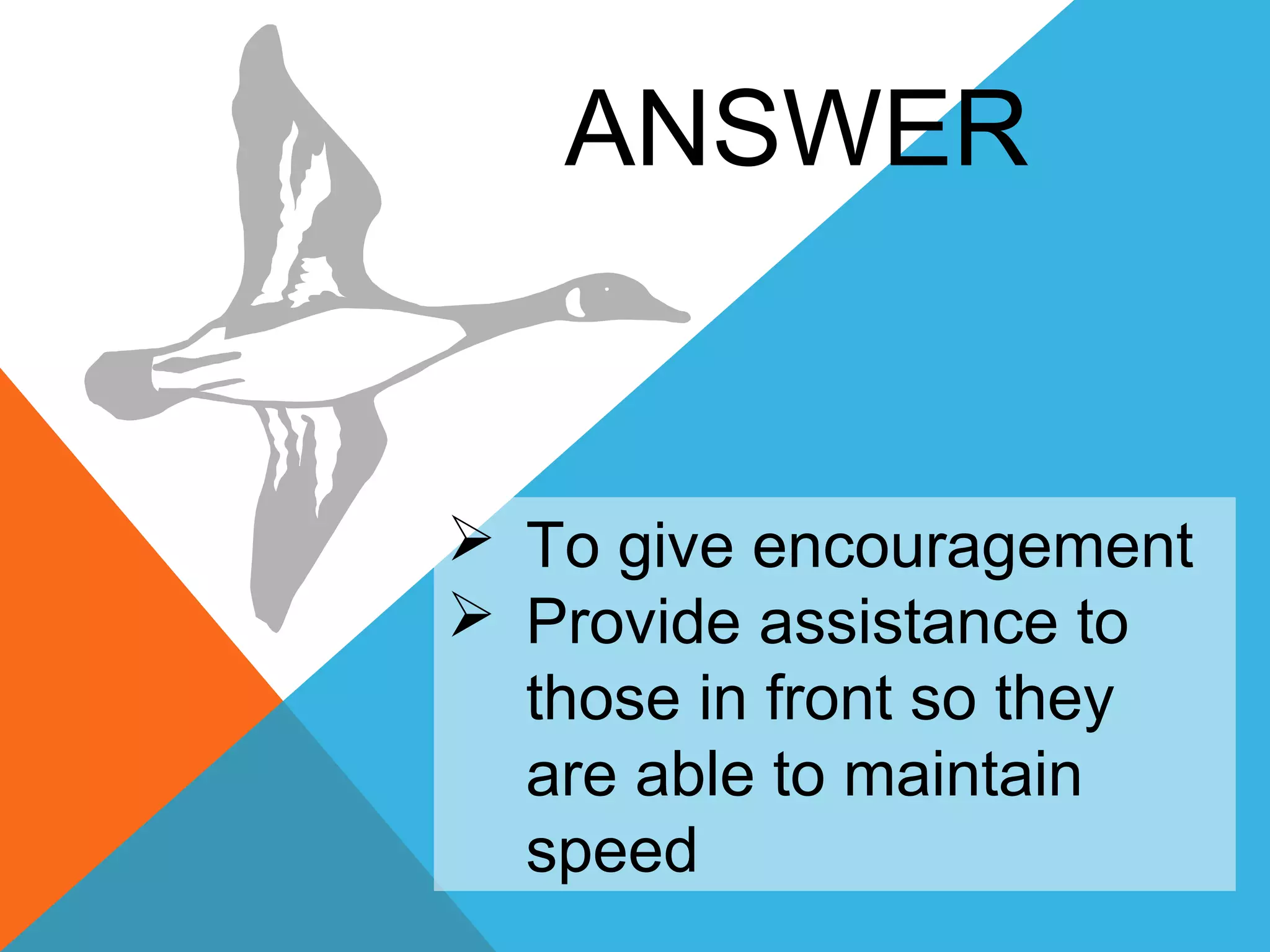 Geese - Teaching Life Lessons | PPT