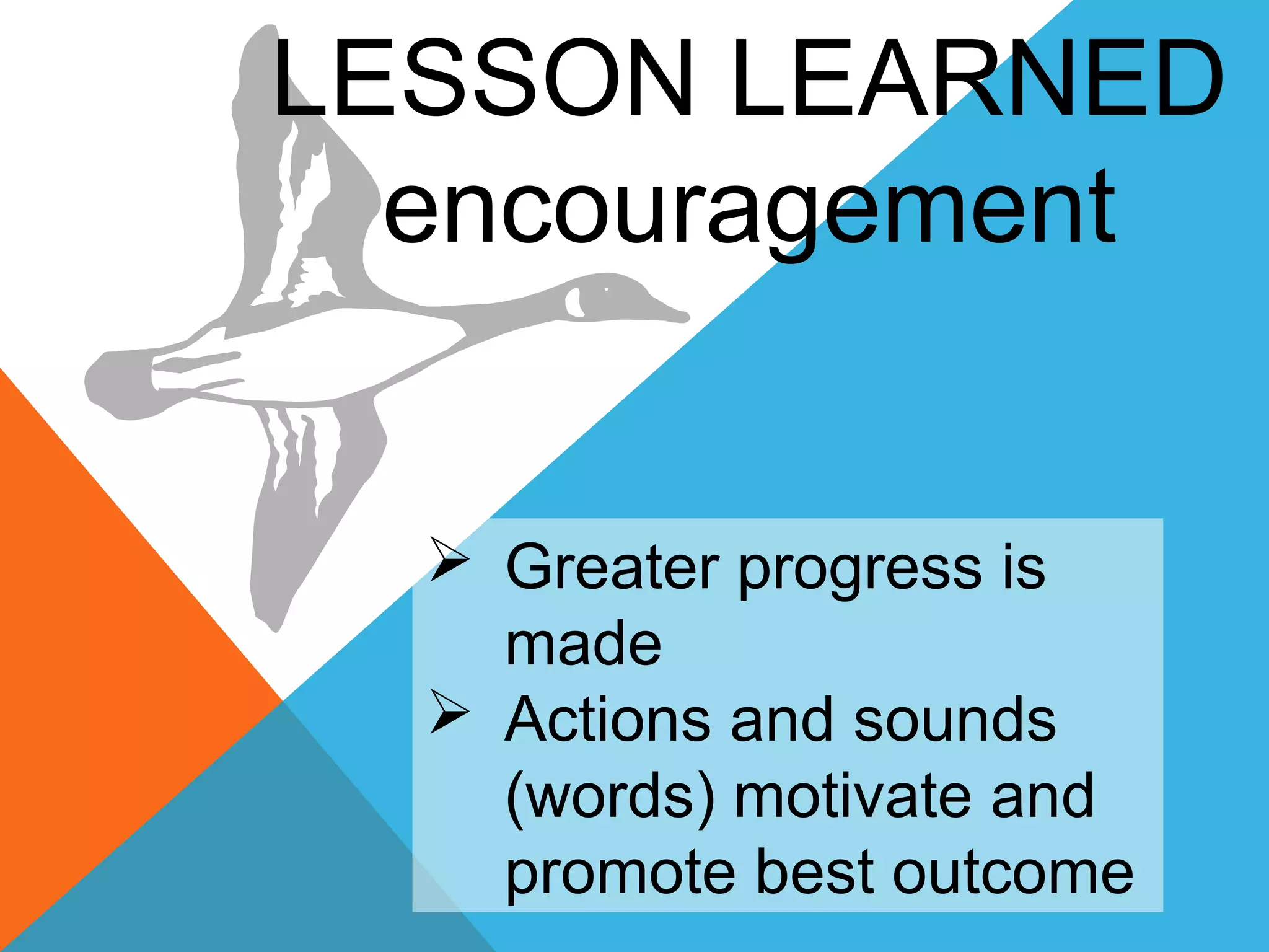 Geese - Teaching Life Lessons | PPT