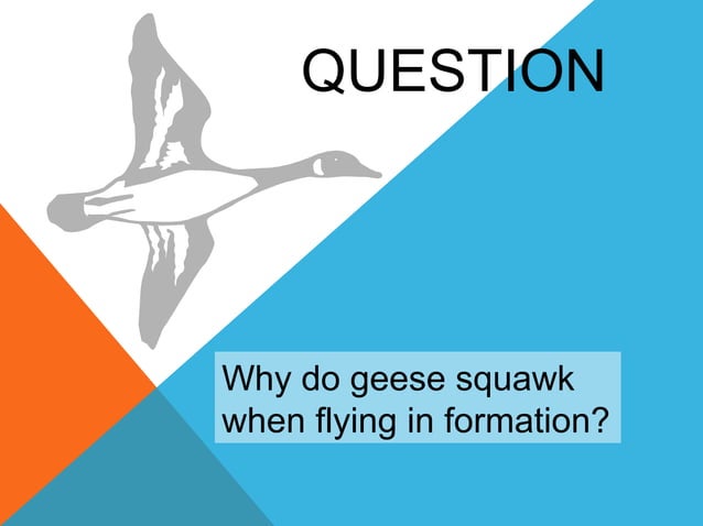 Geese - Teaching Life Lessons | PPT