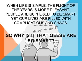 Geese - Teaching Life Lessons | PPT