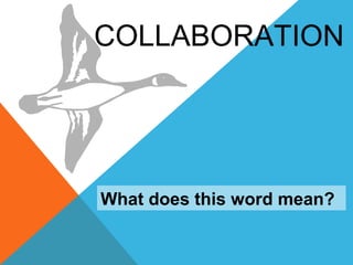 Geese - Teaching Life Lessons | PPT