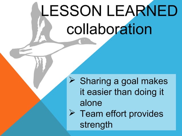 Geese - Teaching Life Lessons | PPT