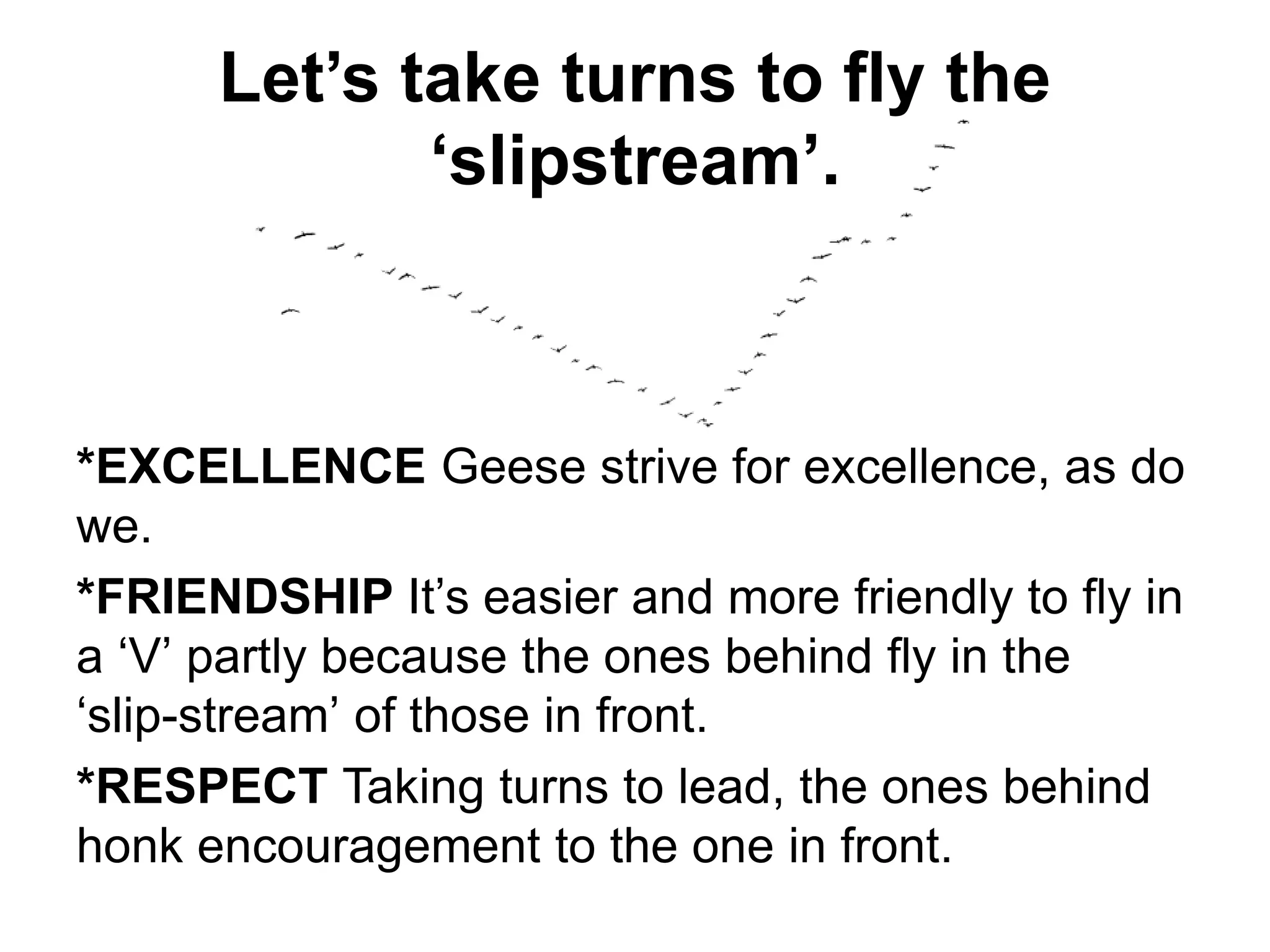 Leadership lessons from geese assembly | PPTX | Birdwatching | Hobbies ...