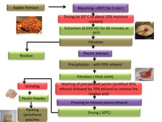 preparation of pectin from apples | PPTX