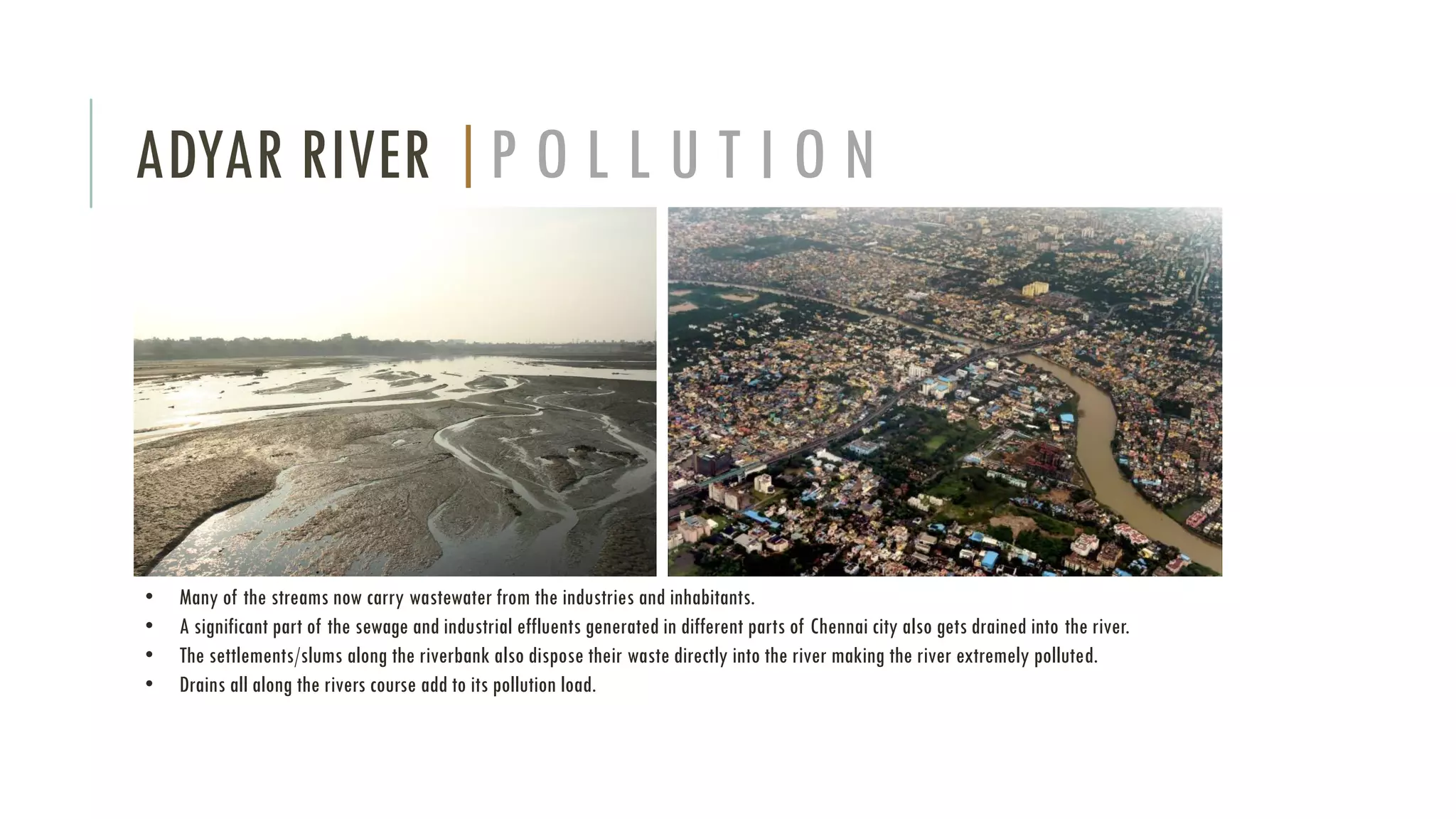 Adyar River Restoration, Chennai | PDF
