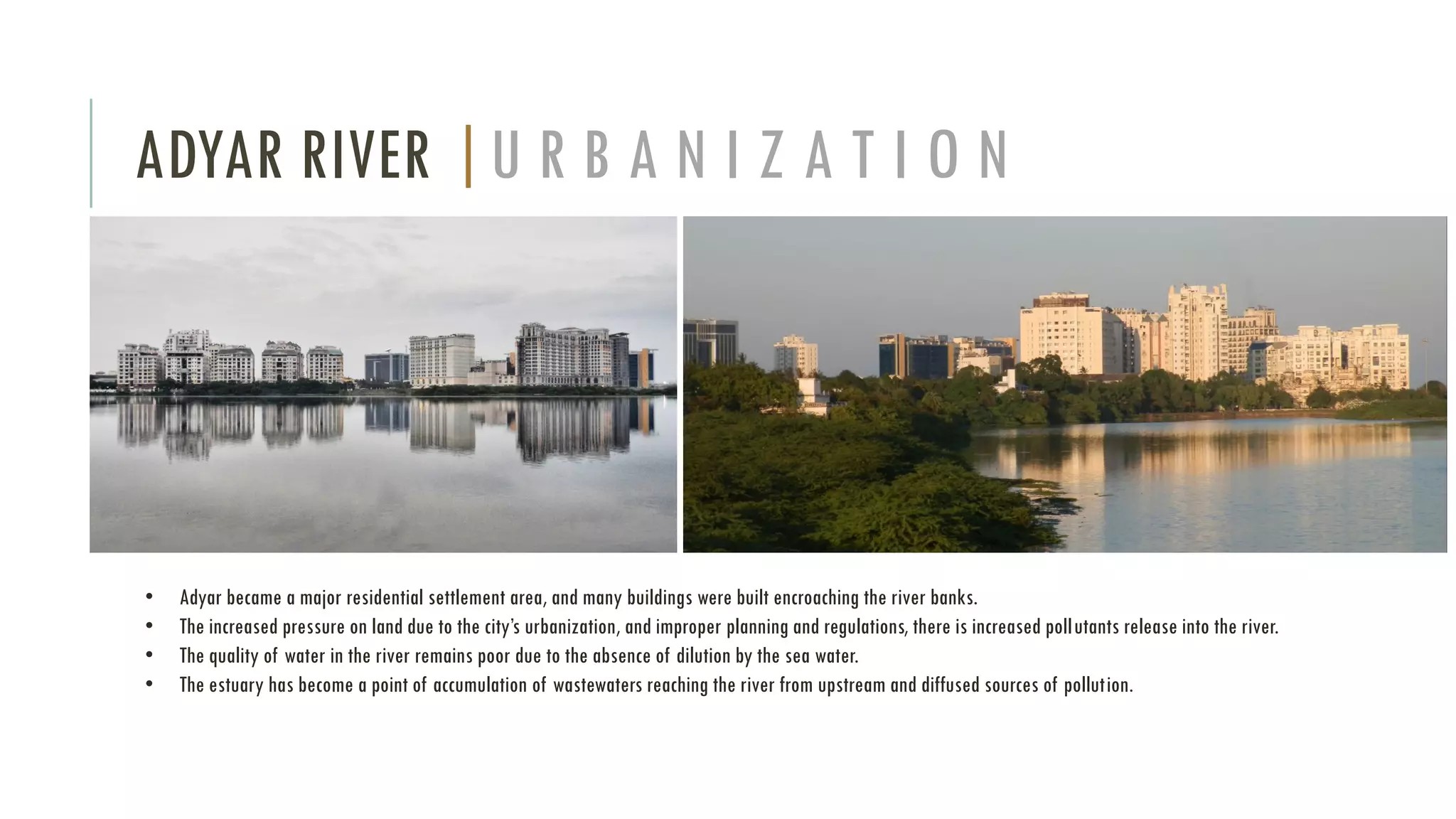 Adyar River Restoration, Chennai | PDF