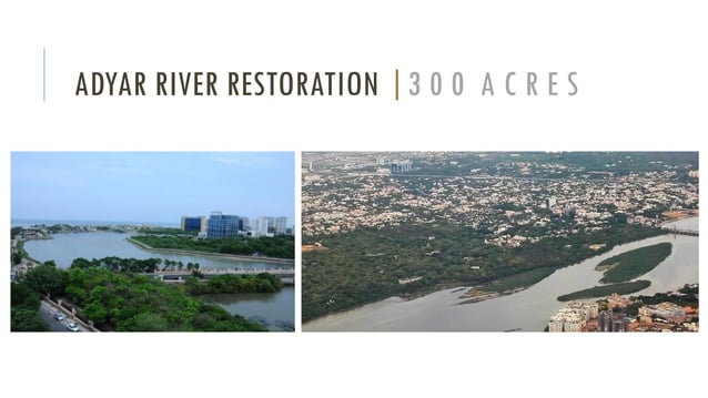 Adyar River Restoration, Chennai | PDF