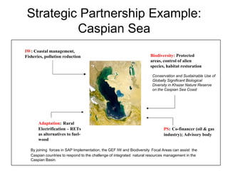 GEF and Integration of Activities in Biodiversity and International ...