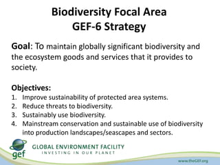 GEF-6 Strategic Programming Directions | PPT