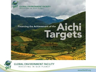 GEF-6 Strategic Programming Directions | PPTX