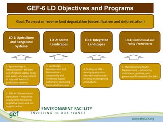 GEF-6 Strategic Programming Directions | PPTX