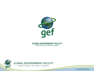 GEF-6 Strategic Programming Directions | PPT