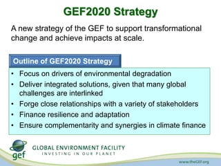 GEF-6 Strategic Programming Directions | PPT