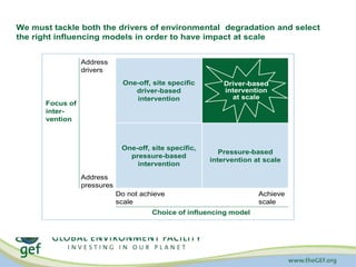 GEF-6 Strategic Programming Directions | PPTX