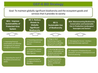 GEF-6 Strategic Programming | PPT